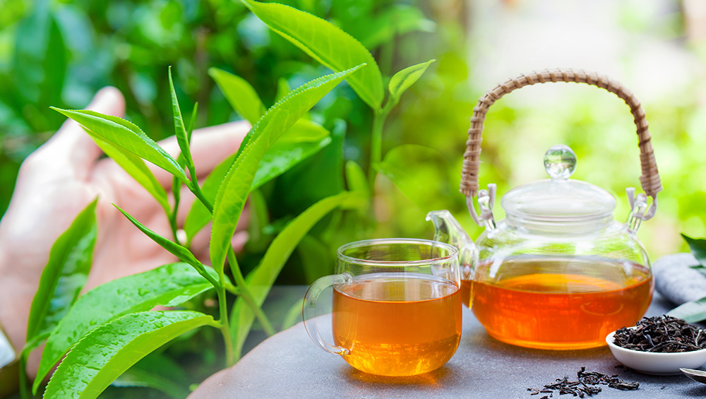 WHY CEYLON TEA? - Eminent Tea - Best of Ceylon Tea