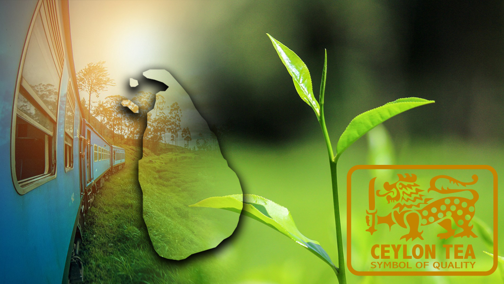 Ceylon Tea - Industry Insights - Eminent Tea - Best of Ceylon Tea